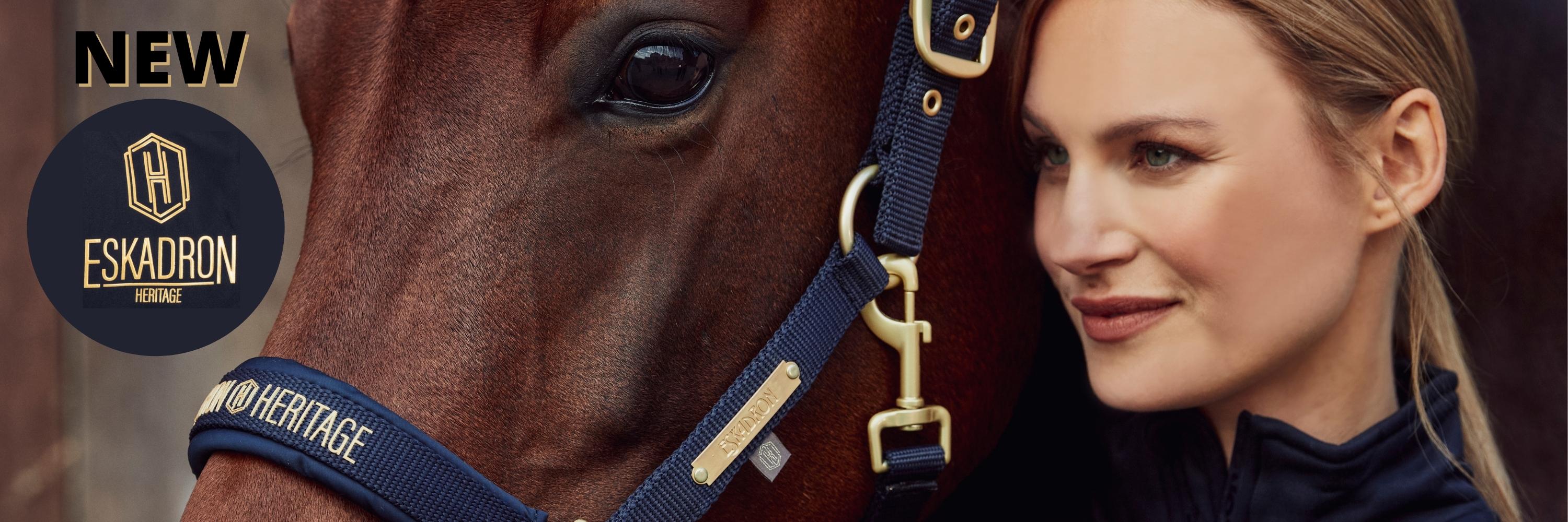 Alles voor paard en ruiter | Ruiterstad - dé ruitersportzaak van ...